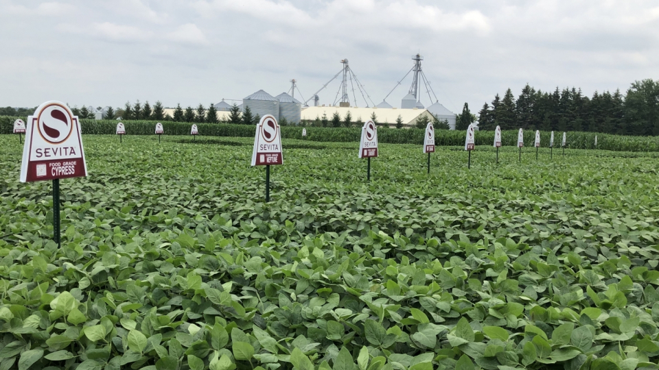 Sevita International :: Export Article :: Largest Single-Year New ...